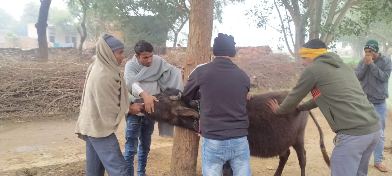 Livelihood - Society for Public Education Cultural Training and Rural ...